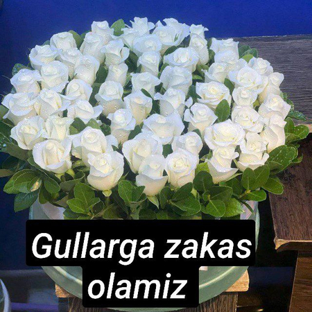 Zakas olamiz toshkent dastavka