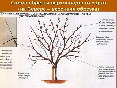 Услуги Садовника или Мардикор