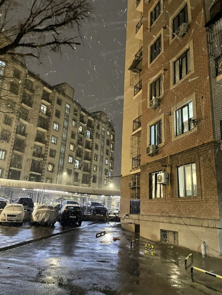 Drujba qoratosh arendaga beriladi