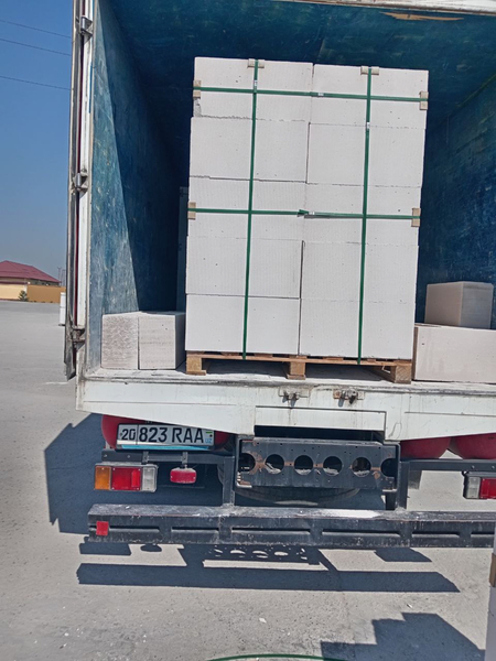 Газаблок 60*25*10