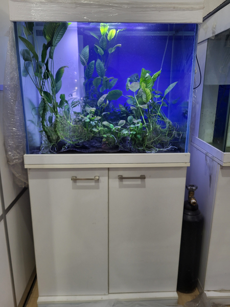 Akvarium sotiladi