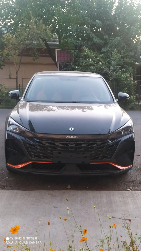 Dongfeng Aeolus Shine