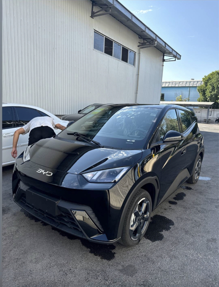 Byd seagull 2025