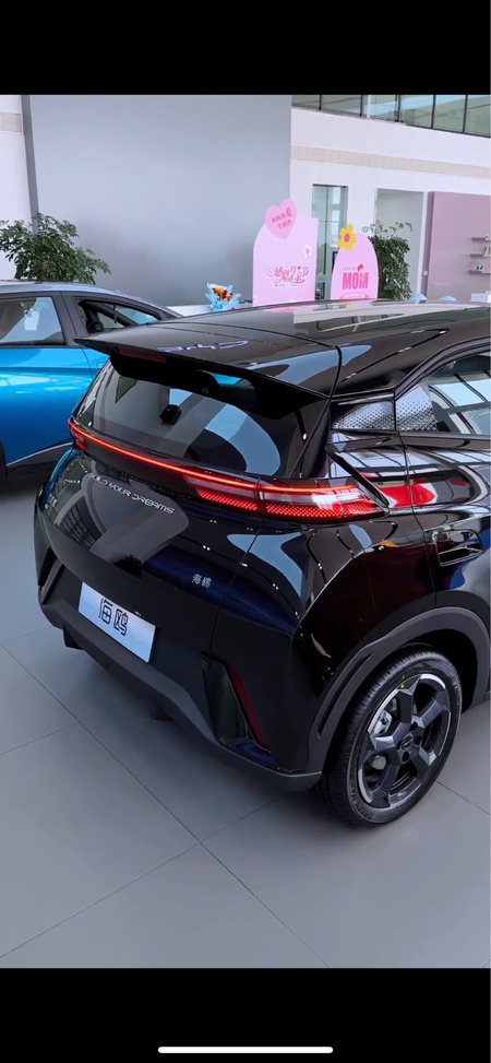 BYD Seagull 405km