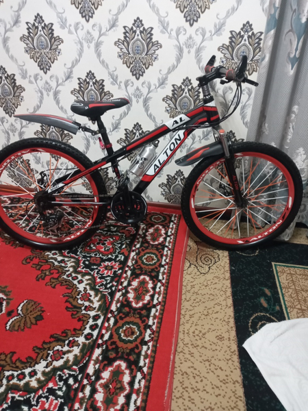 Алтон скоростной 24