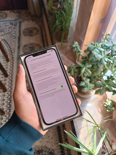 Iphone 12 pro max 256gb