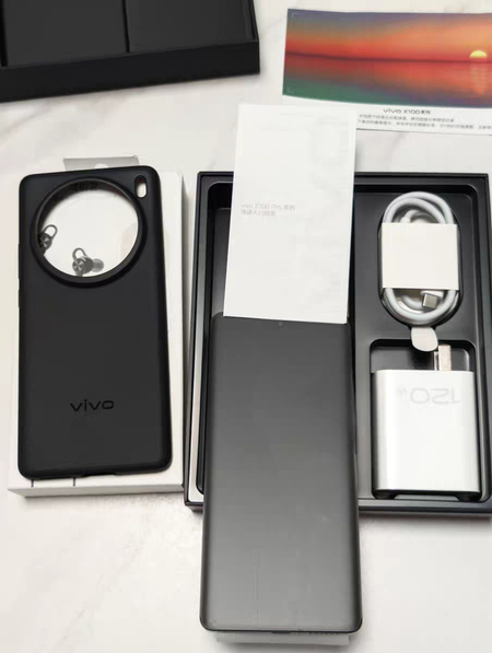 Vivo X100 Pro (New)