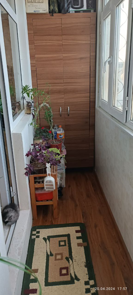 Продаётся квартира Чиланзар 24 квартал 3-9-9
