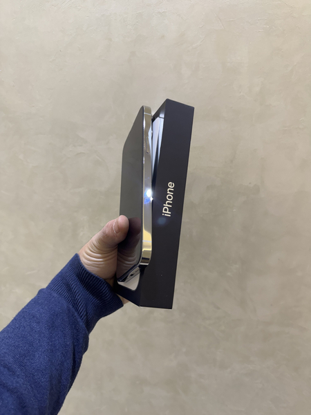 Iphone 13 pro max ideal