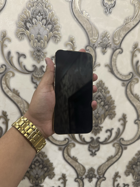 Iphone 13 pro max ideal