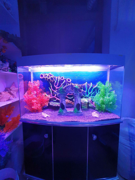 New Akvarium 150-200 litr