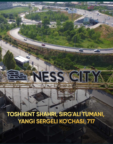 Ness City.  Sergeli. 1/14/16.
