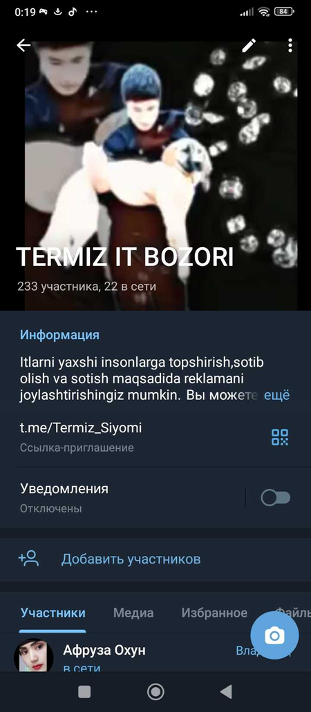 Самые красивые собаки!