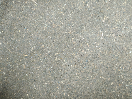 Biyagomes  va chuvalchang