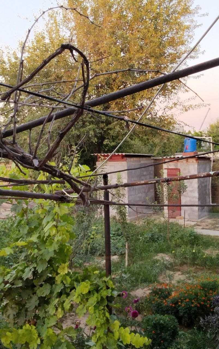 Продается дача в Ташобласти