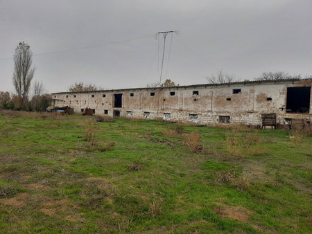 Ferma sotiladi 22 sotix +5gektar Nazarbek Molbozor
