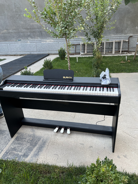 Pianina elektroni blanth tashkent optm