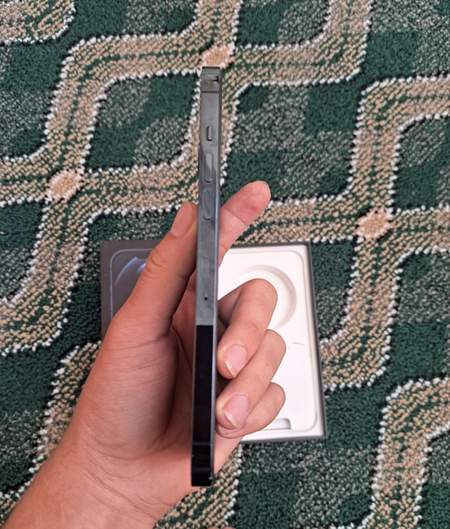 iPhone 12 pro max