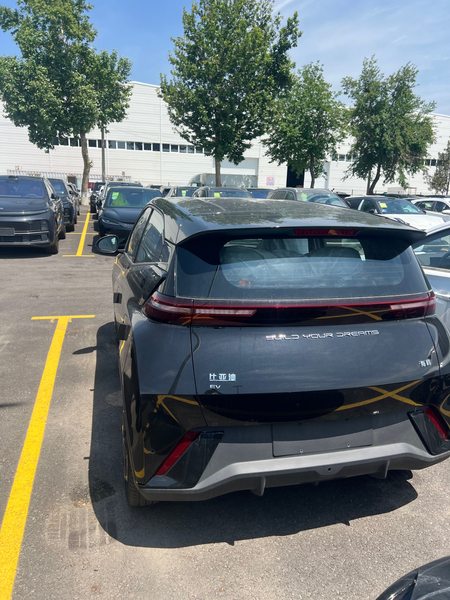 Byd Seagul srochna sotiladi