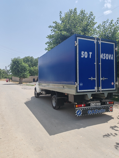 Gazel 5 metirlik