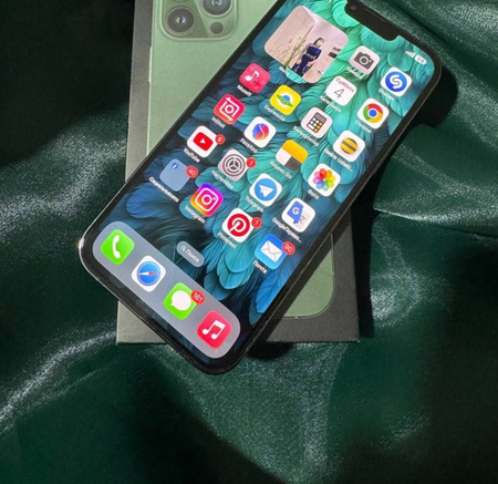 Iphone 13pro max