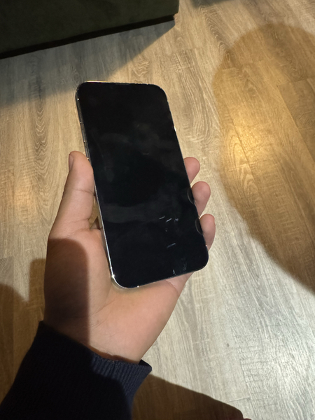Iphone 13 pro max 256 gb