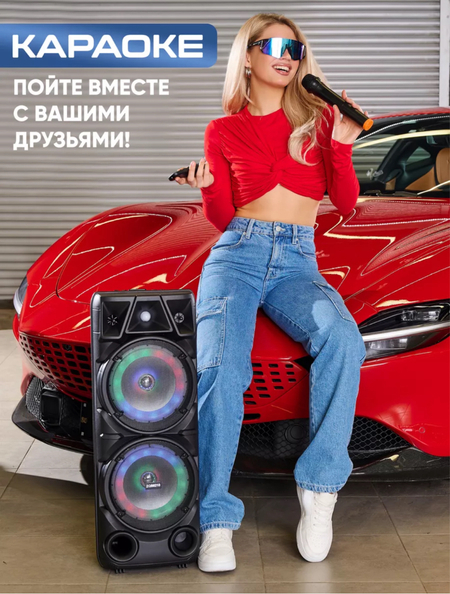 Колнка портативная; Акустика; ZQS 8210
