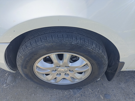 Kia Carnival stiladi