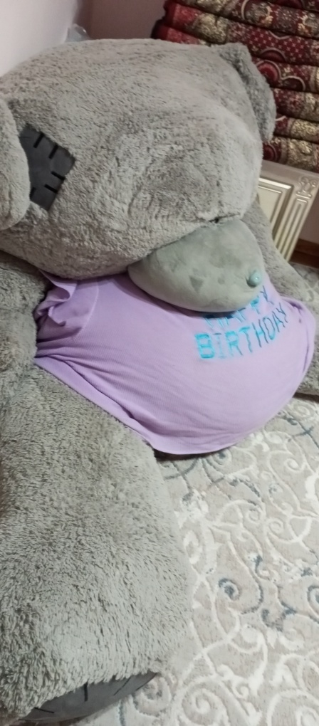 Eng kotta Teddy ayiq Xitoy