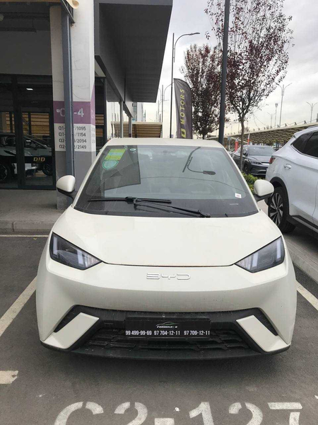 BYD Seagull 2024 arenda s vikupom