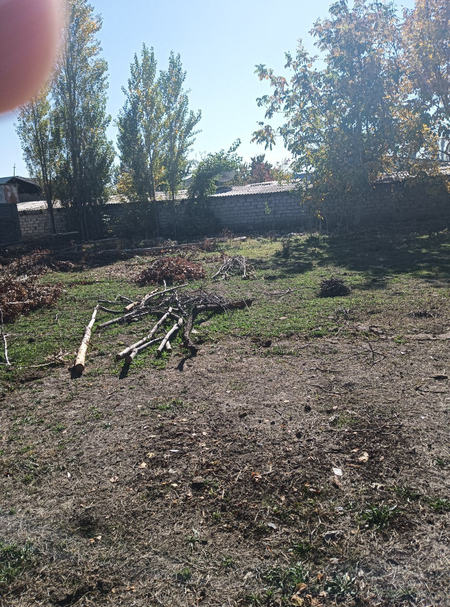 Порода йоту земля