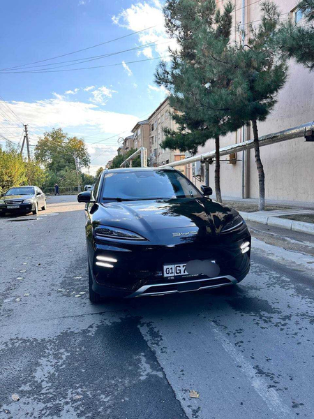 byd chempion 605