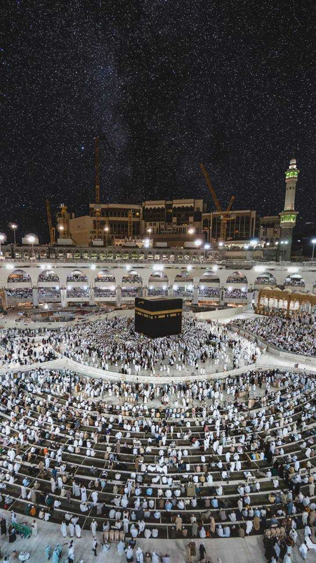 UMRA safari avgust sentabr КОМФОРТ paketlar 1250USD