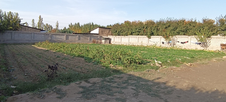 Chiroyli maxaladan uy sotiladi 16 sotix  Yangiyul Chamanzor