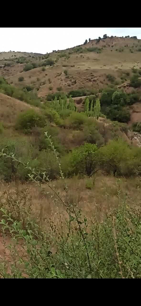 Amirsoyda yer maydoni