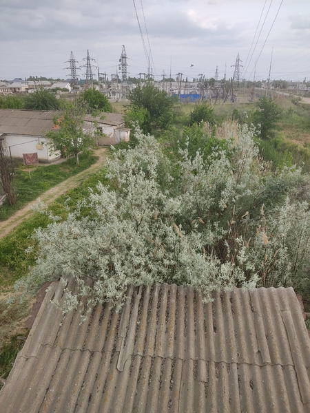 ПРОДАЕТСЯ ДОМ с большим участком