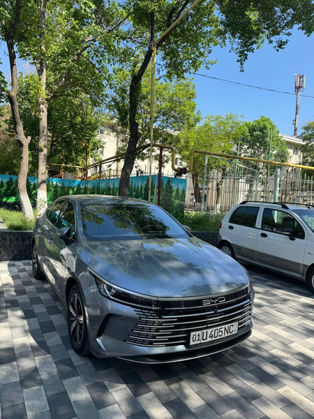 BYD chazor 120 comfort svoya
