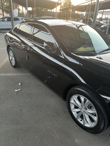 Malibu 2 Premier 20/21