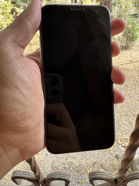 iPhone X 64Gb 100%