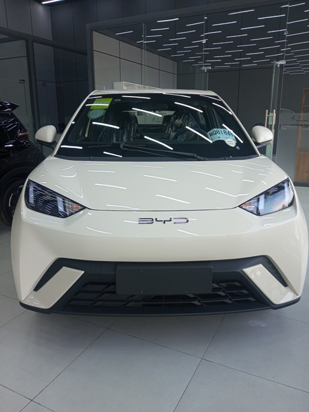 Byd seagull 2024
