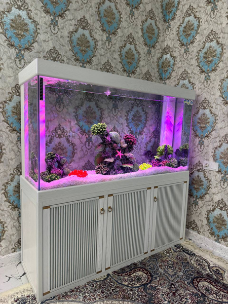 Akvarium Zavadskoy Sotiladi