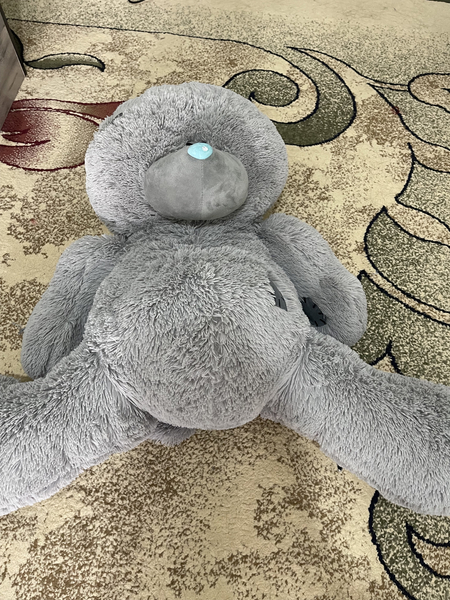 Тедди  Мишка teddy ayik