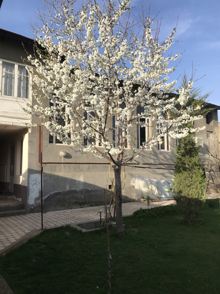 Продается Участок Назарбек