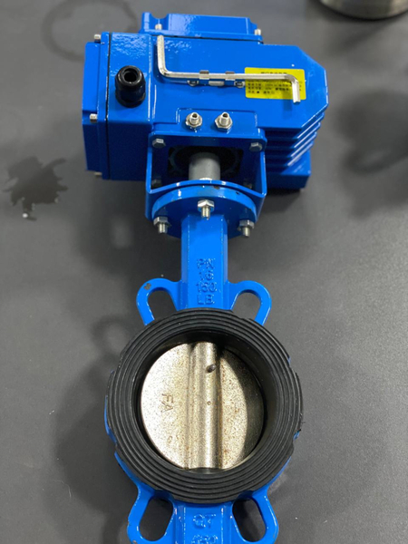 электрический затвор 220V