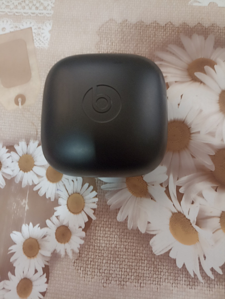 Powerbeats Pro идеал