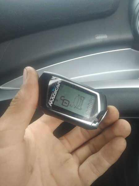 Mejikar Dominant 906 pejiri