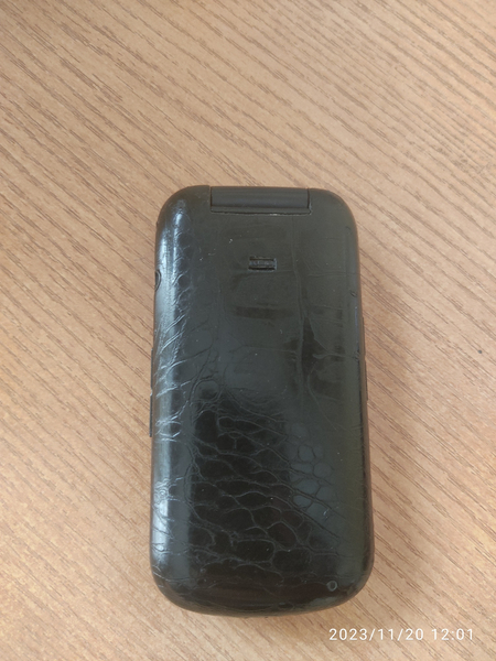 Samsung Gusto 3 arginal