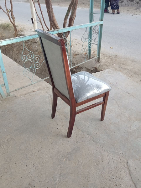 Senator dipalamat stul bor nechta kerak bolsa