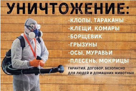 Dezinfeksiya ДЕЗИНФЕКЦИЯ от Клопов Тараканов Мухи Камари Грызунов 24/7