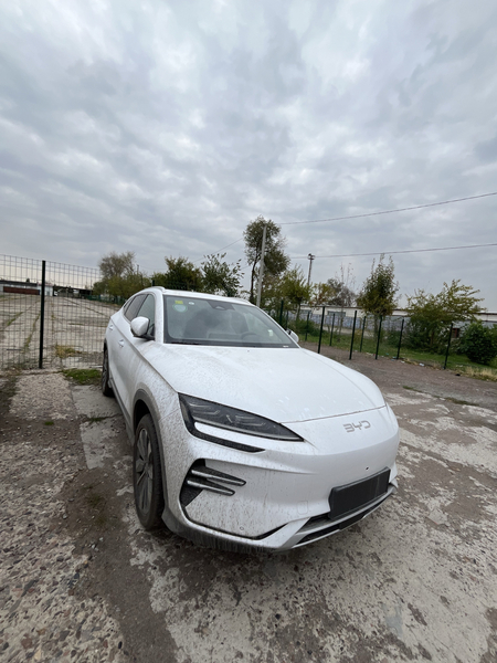 BYD chempion 2025